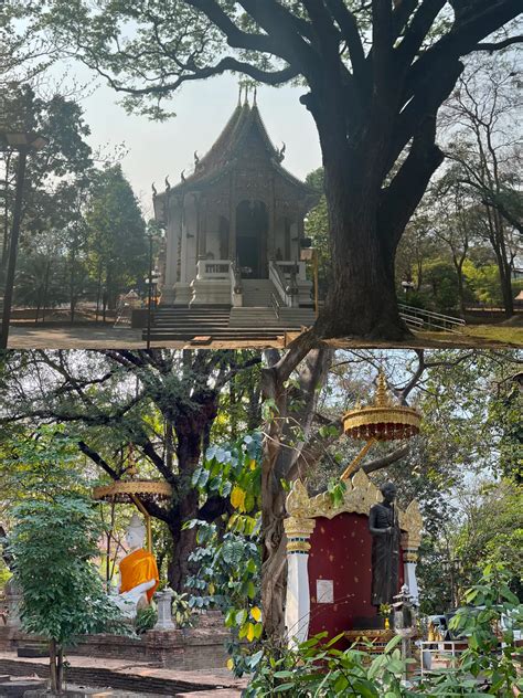 เที่ยววัดไทย 💫🙏🏽 วัดเจ็ดยอด เชียงใหม่ อายุมากกว่า 500 ปี🔆 แกลเลอรีที่