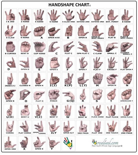 Tactile Sign Language Between Two Tongues Language Blog