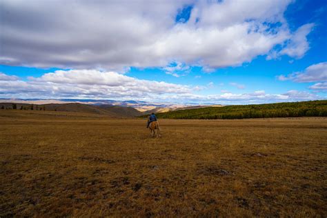 홉스골 6박 7일 몽골 여행사 맞춤형 투어 업진트래블