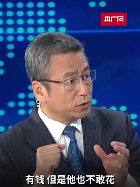 白岩松提问有钱不敢花怎么办白岩松春节新浪新闻