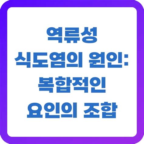 역류성 식도염 증상 원인 치료 예방법 완벽 정리