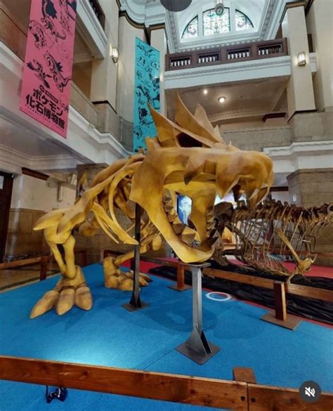 잡담 역시 포켓몬은 실존했어 인스티즈instiz 일상 카테고리