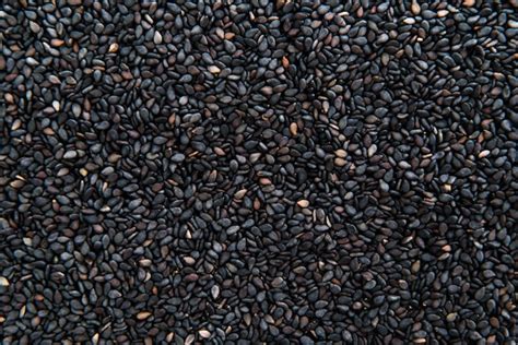Free Photo | Black sesame