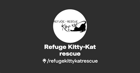 Refuge Kitty Kat Rescue Instagram Facebook Tiktok Linktree