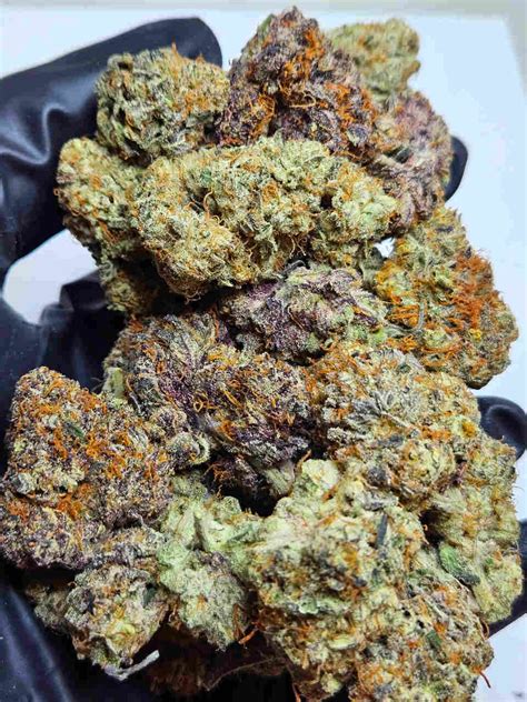 Zlush Puppies Strain Backpack Boyz Backpack Boyz Dispensary