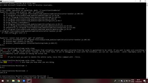 Error Eperm Operation Not Permitted Mkdir C Users Foo Issue Zkat Npx Github