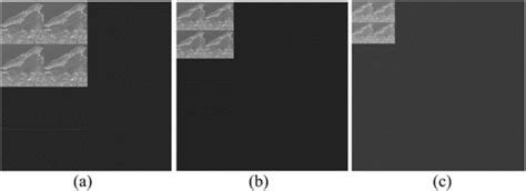 Illustrative Results Of 1 Level Decomposition By The M Band Download Scientific Diagram