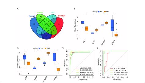 Identification And Validation Of The Diagnostic Biomarkers A Venn