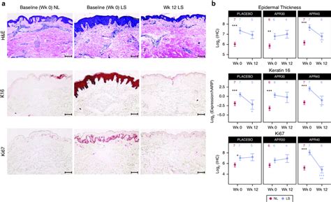 Representative Immunohistochemical Images And Quantification Of