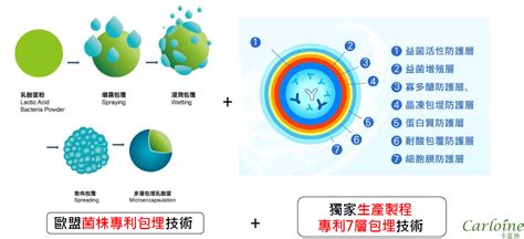益生菌推薦新概念！國際益生菌種類比較5大重點，益生菌就要這樣挑 蕃新聞
