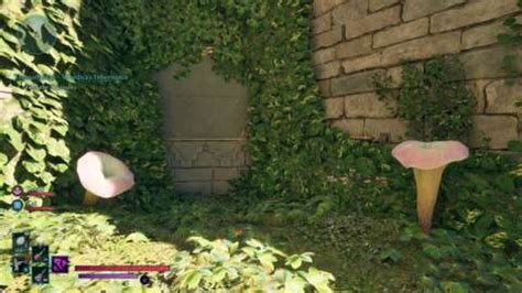 Avowed Woedica S Inheritance Treasure Map Location GameSpot