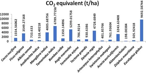 Carbon Dioxide Equivalent In The Dominant Trees In The City Of Download Scientific Diagram