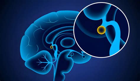 Pineal Gland Eye Of Horus Science And Spirituality Bridge
