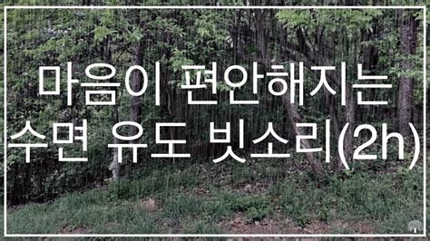 마음이 편안해지는 빗소리 수면 유도 빗소리 빗소리 비오는소리 백색소음 Youtube