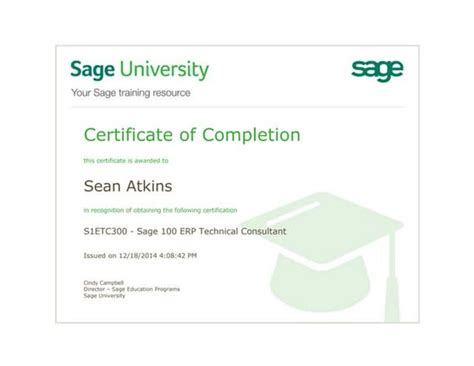 sage 100 erp application consultant ppt
