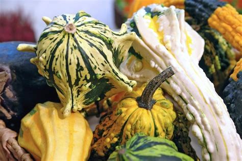 Premium Photo Background Of Summer Squash And Pumpkin Fruits