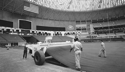 What Are The Most Realistic Artificial Grass Brands Artificial Grass