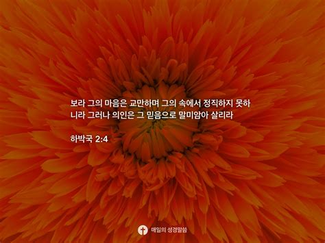 Daily Bible Inspirations