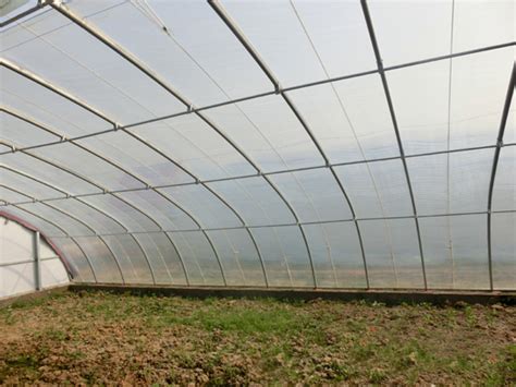 新型日光温室 土墙 砖墙体日光温室 寿光九合农业发展有限公司
