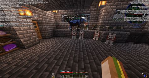 Modded Minecraft