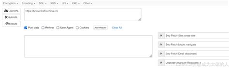 ctf web 信息搜集 ctfweb的解题思路查看源代码 csdn博客