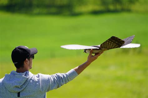 3 Bio Inspired Drones Wildlife Drones