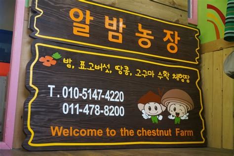 나무간판나무간판제작지주형간판 목간판나무현판요양원 간판방향표지판이정표텃밭팻말농원간판펜션간판우드사인원목 간판
