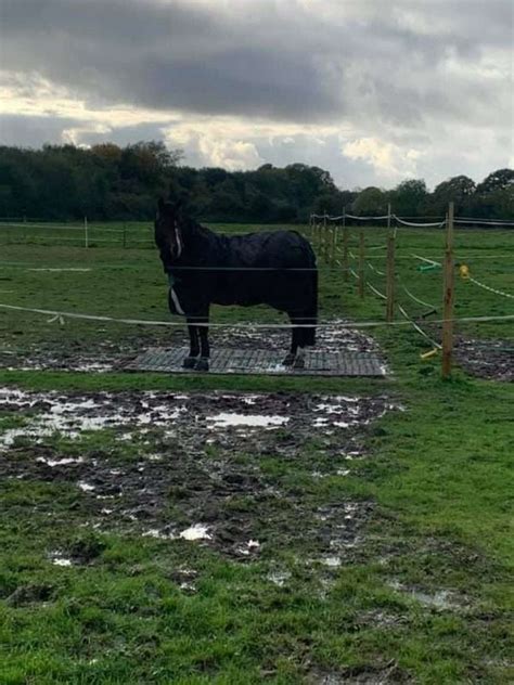 Gallery MUDGRIDS MUD CONTROL GRIDS Beat The Mud Year After Year