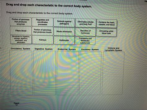 Solved На Drag And Drop Each Characteristic To The Correct