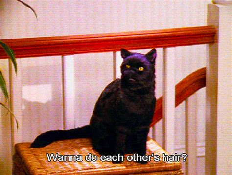 Sabrina The Teenage Witch Animated 