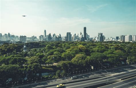 Apps To Track And Offset Your Carbon Footprint Magiavip Transfer