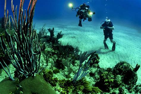 Rádio USP reúne especialistas para debate sobre oceanografia IOUSP