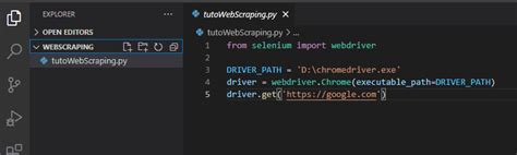 Selenium Python Réussir Ses Tests Unitaires Et Extractions De Données