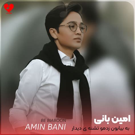 دانلود آهنگ به بیابون زدمو تشنه ی دیدار تونم از امین بانی با متن کامل فرمت Mp3