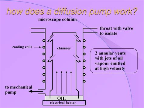 Ppt Basic Electron Microscopy Powerpoint Presentation Free Download