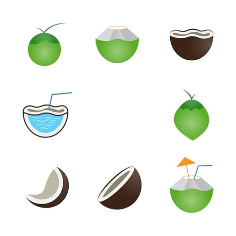 Premium Vector Coconut Color Vector Desin