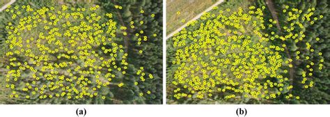A B Features Detected In Both Images By Sift Detector Download Scientific Diagram