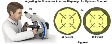 Properly Setting Up Koehler Alignment In A Microscope By Kathy Brasch Medium