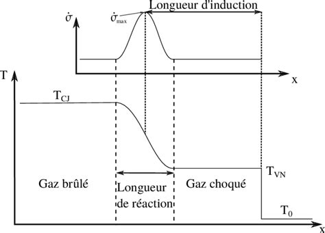 5 Schématisation Des Longueurs Dinduction Et De Réaction Dans Le