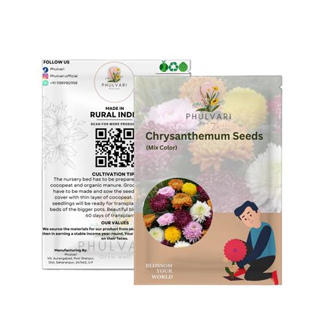 Chrysanthemum Seeds Phulvari