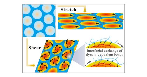 Molecular Insights Into Interfacial Stress Amplification And Network Reinforcement In Extrudable