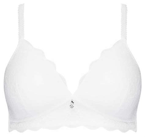 Padded Bra No Wire Cybele Lace Cherche La Femme
