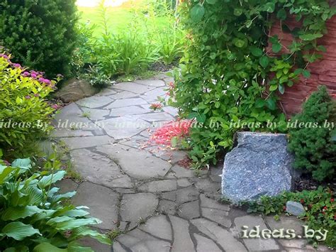 Best Garden Trees Images On Pinterest Garden Trees Gardening And Landscaping