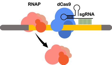 Idec Nefu China 2023