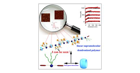 Cucurbit[8]uril Based Water Soluble Supramolecular Dendronized Polymer Evidence From Single