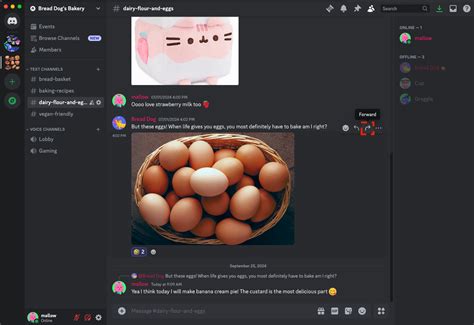 Message Forwarding Discord