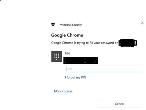 Google Chrome Is Trying To Fill Your Password How To Stop This