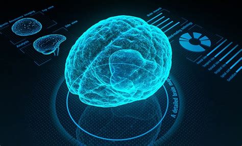 Cinco Etapas De Los Procesos Cognitivos Humanos Y Su Aplicabilidad En