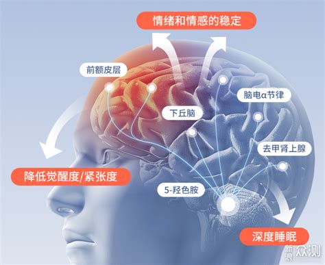 告别失眠的困扰，每天20分钟即可让你安心入眠原创新浪众测