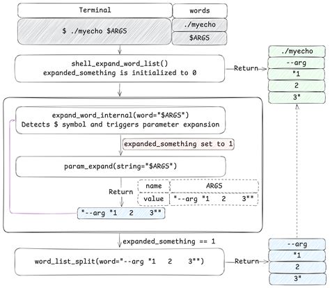 When Quoting Variables Backfires: A Deep Dive into Bash Expansion | On my way to Oodi